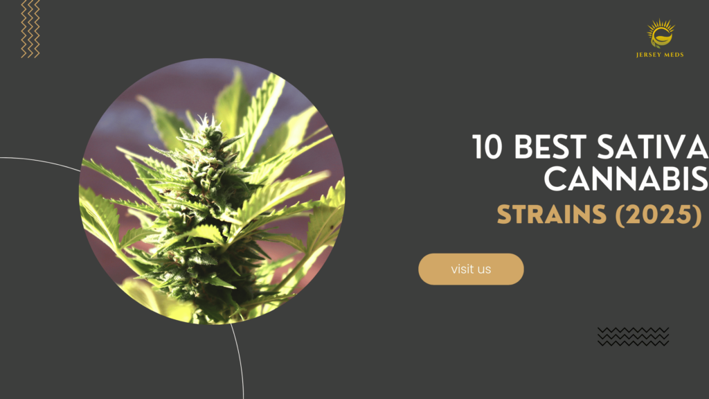 10 Best Sativa Cannabis Strains 2025 - Jersey Meds